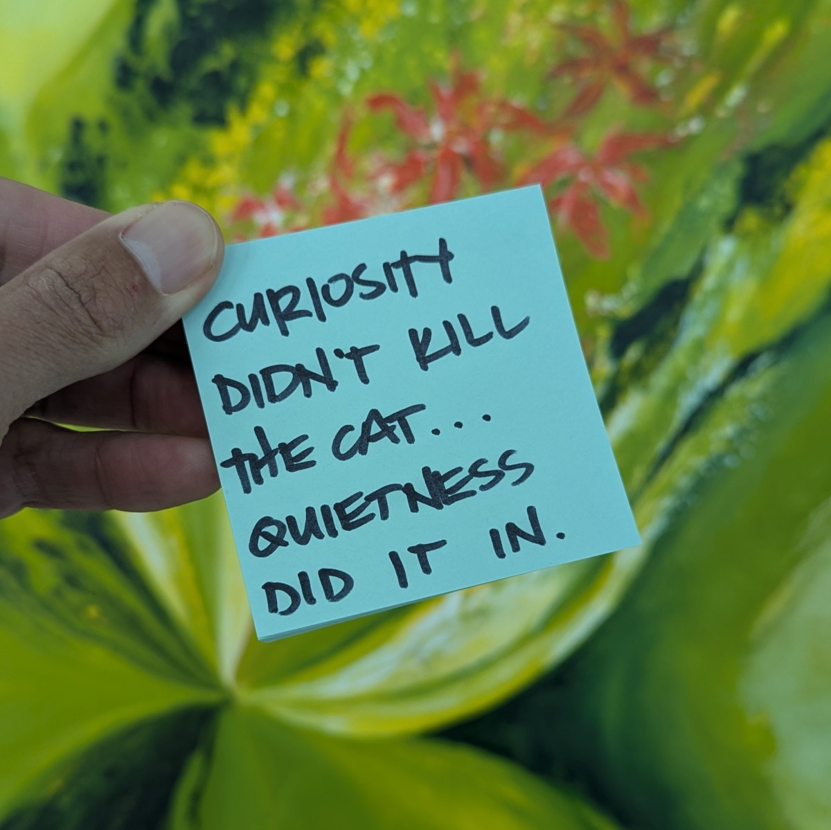 curiosity didn’t kill the cat + 10 lessons – Hello, I am Shelton.